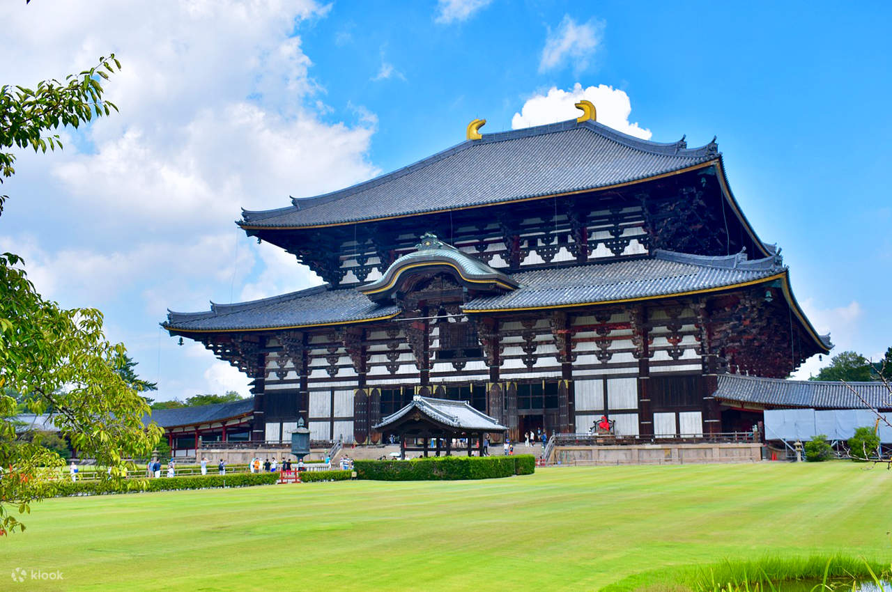 [One-day tour in Nara and Uji] Byodoin Temple, The Tale of Genji Museum ...